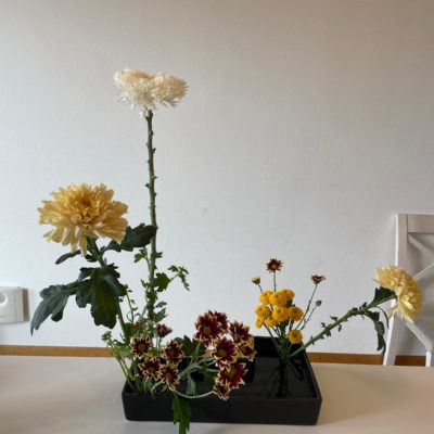 United Nations Women's Guild - Geneva - UNWG Geneva